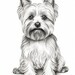 Yorkshire Terrier | Yorkie | Coloring Pages | Pet Portrait | Printable ...