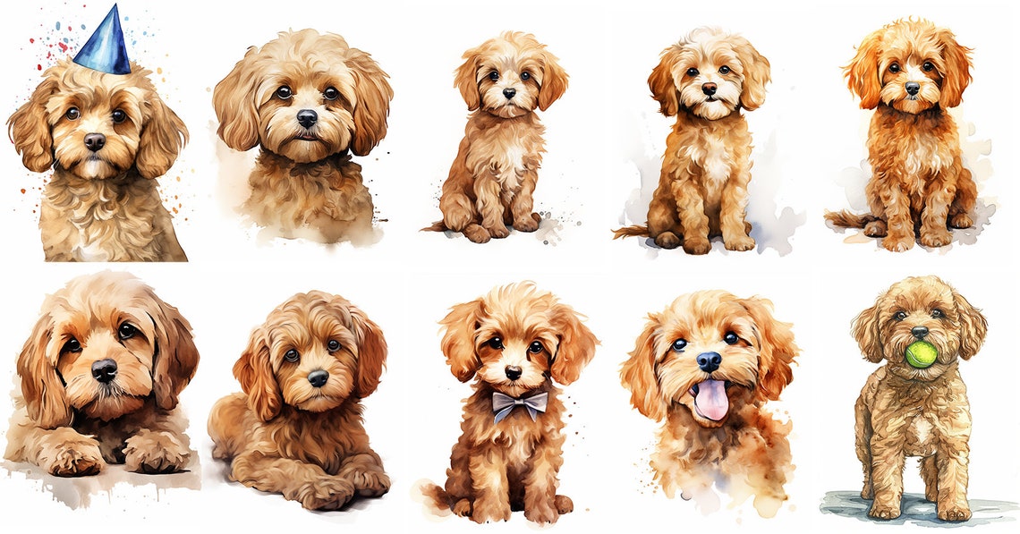 Cavapoo Watercolor Clipart, Dog Portrait, Scrapbooking, Journaling ...