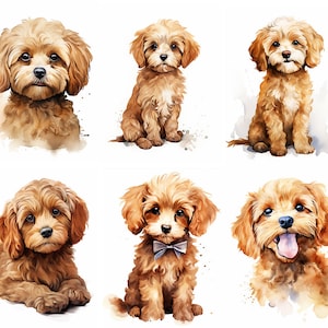 Cavapoo Watercolor Clipart, Dog Portrait, Scrapbooking, Journaling ...