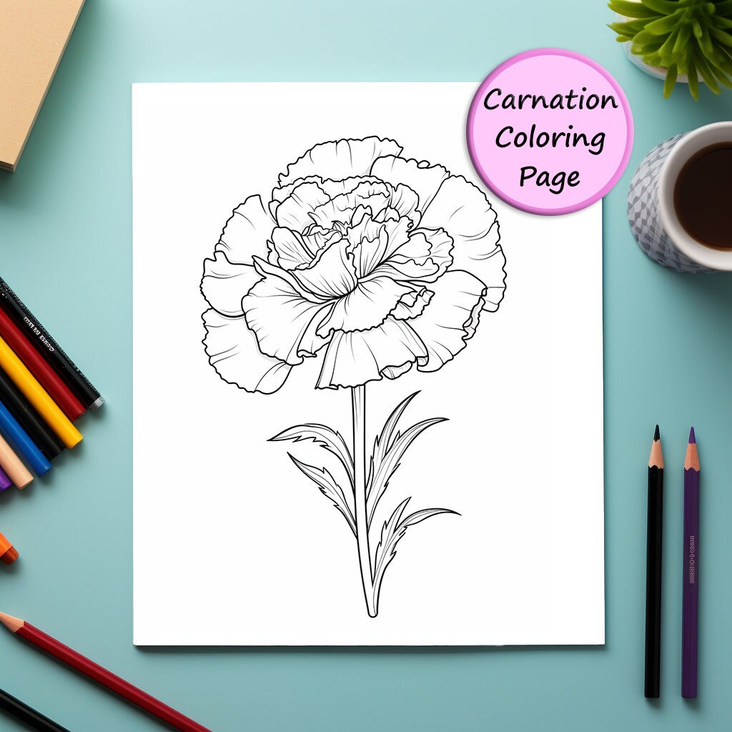 Carnation Coloring Page, Flower Portrait, Printable Coloring Page ...