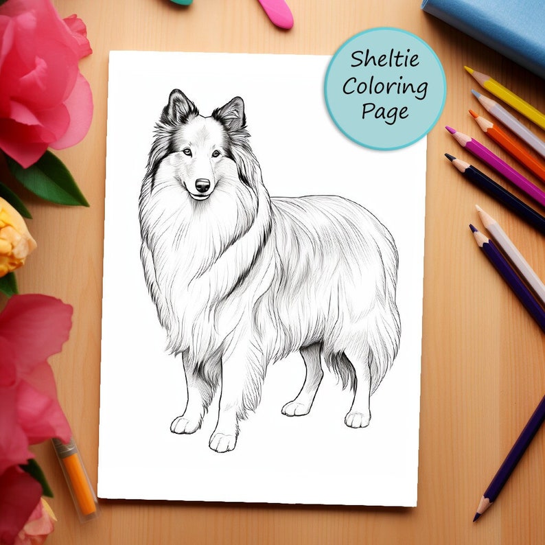Sheltie Dog Coloring Page Dog Portrait Printable Coloring - Etsy