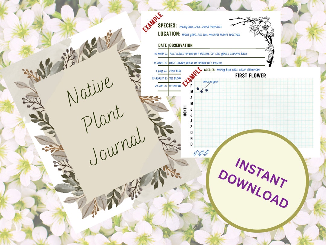 Native Garden Journal - White, Plant Feature Tracking Graph, Plant ...