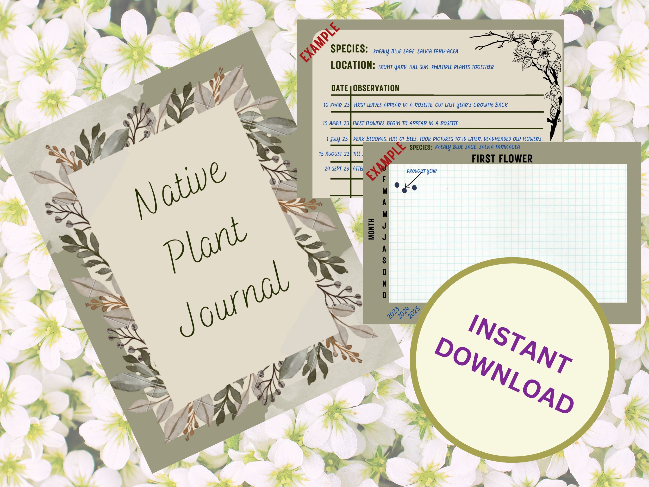Native Garden Journal, Plant Feature Tracking Graph, Plant Profile ...