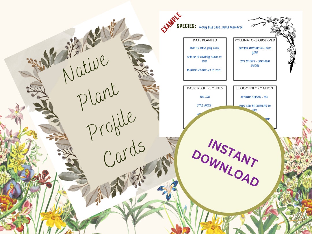Native Plant Cards - White, Plant Profile, Garden Planner, Garden ...