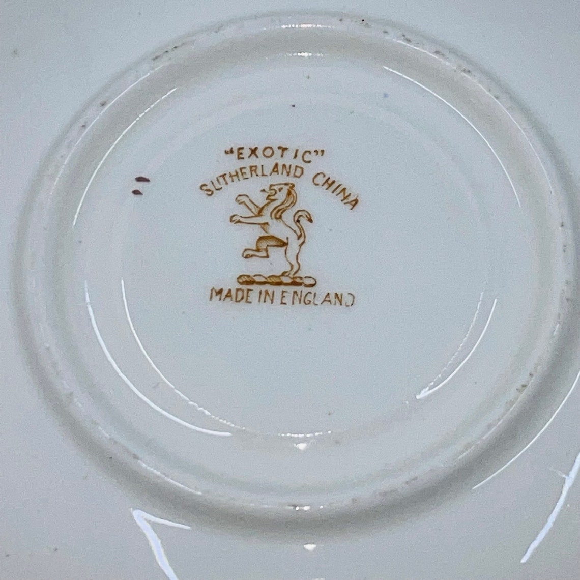 Vintage Sutherland Teacup Saucer Exotic England Bone China Bird ...