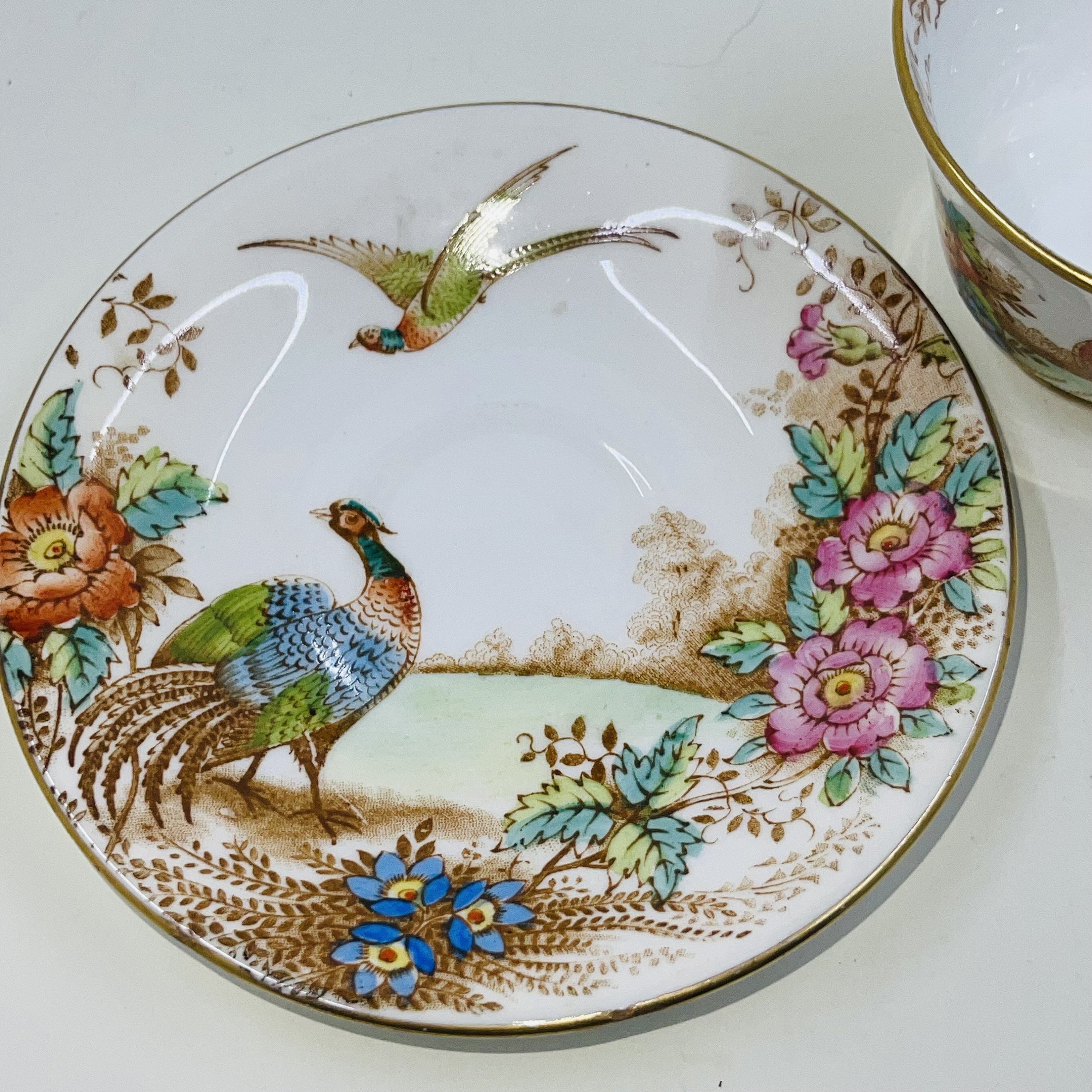 Vintage Sutherland Teacup Saucer Exotic England Bone China Bird ...