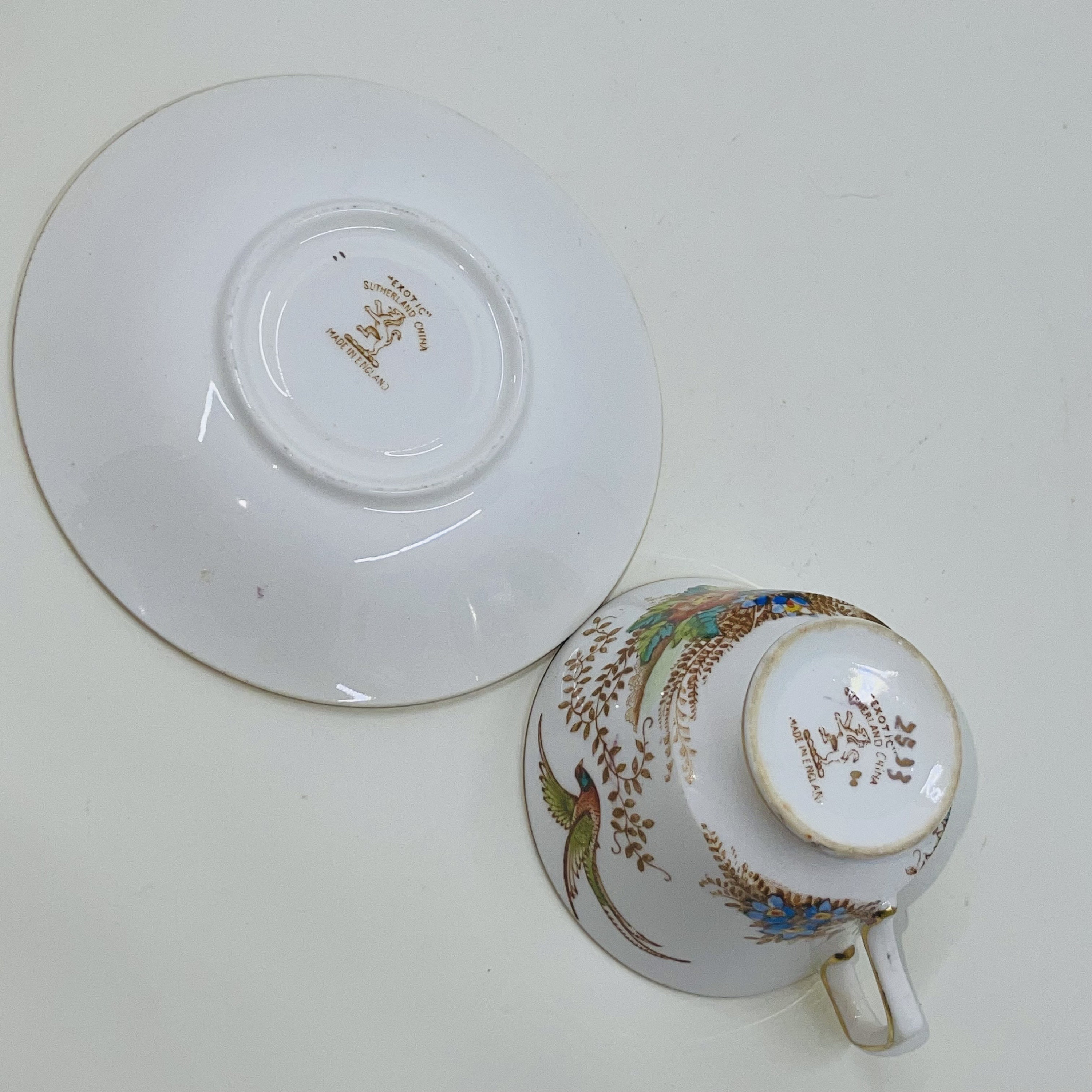 Vintage Sutherland Teacup Saucer Exotic England Bone China Bird ...