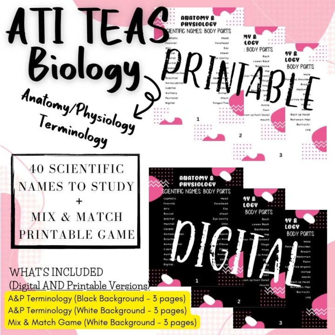 Human A&P: Terms to Know - Etsy