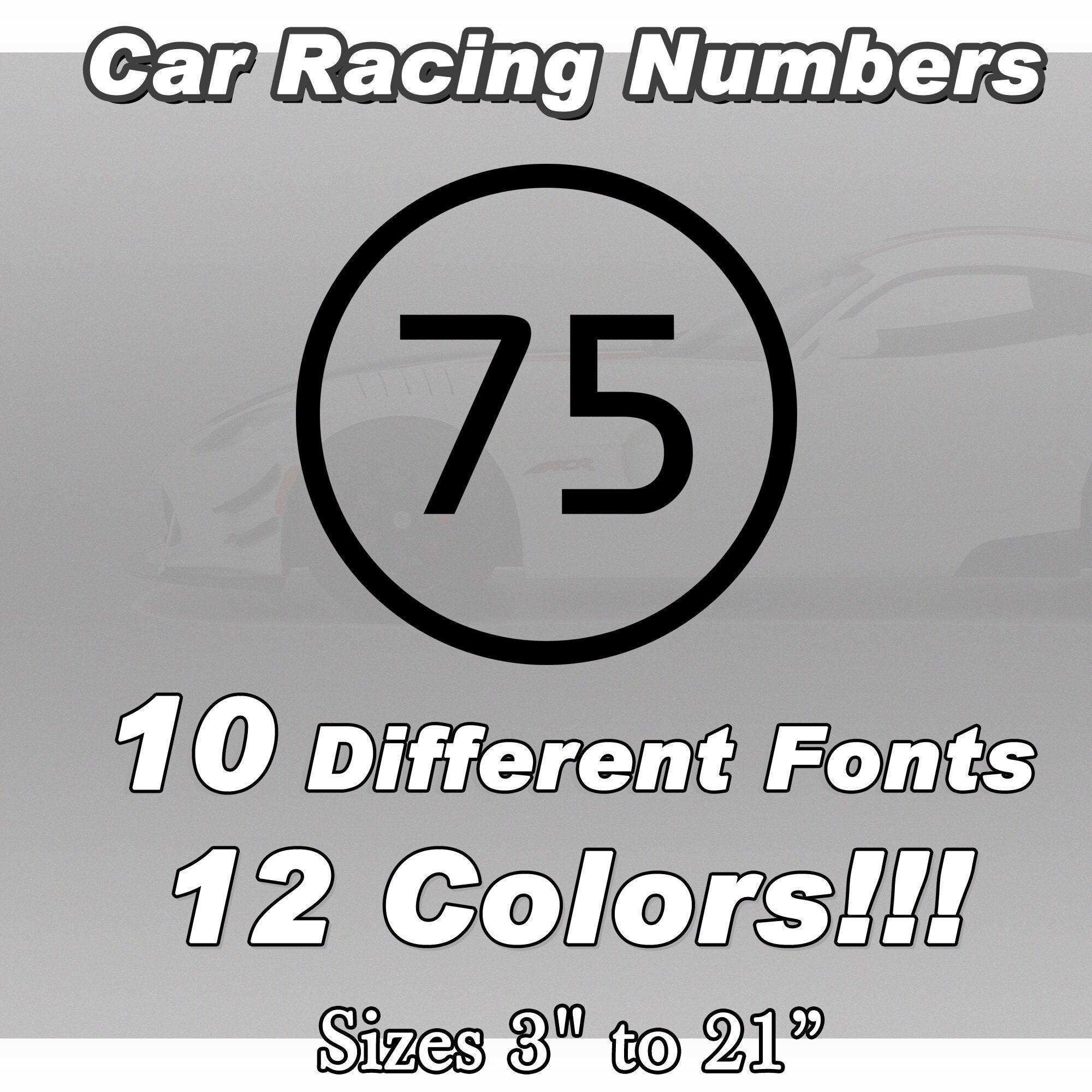 2 Pack Racing Car Numbers Circle Set of 2 Track Number Die-cut No ...