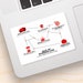 Heartless Map, Marissa Meyer, Bookish, Book Merch, Popular Now, Booktok ...