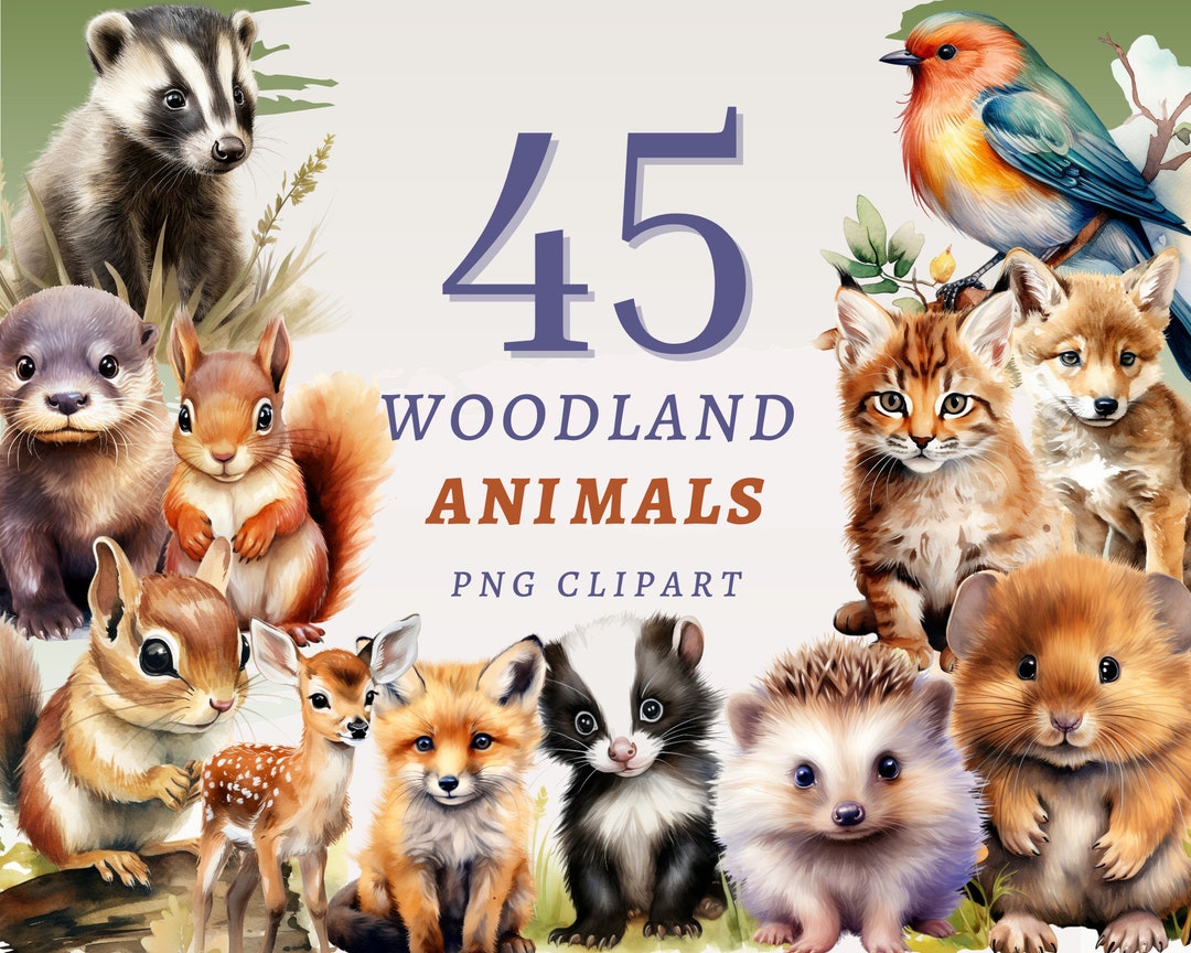45 Woodland Animals Clipart, High Quality Transparent Pngs, Instant ...