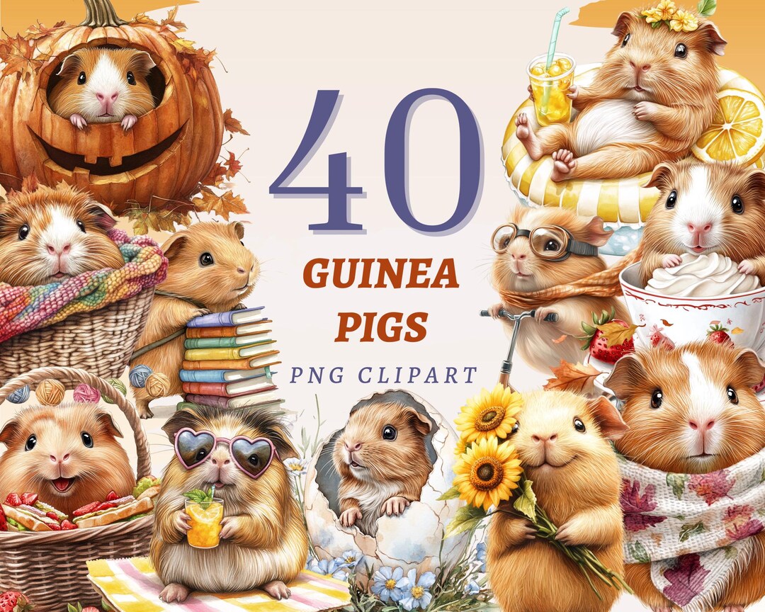 40 Guinea Pigs Clipart Hamster Artwork Bundle Watercolor Animals ...
