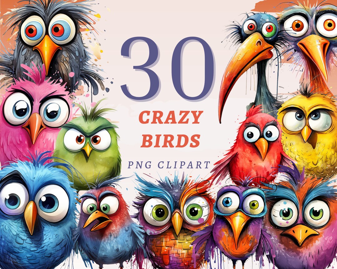 30 Crazy Birds Clipart, High Quality Transparent Pngs, Instant Download ...