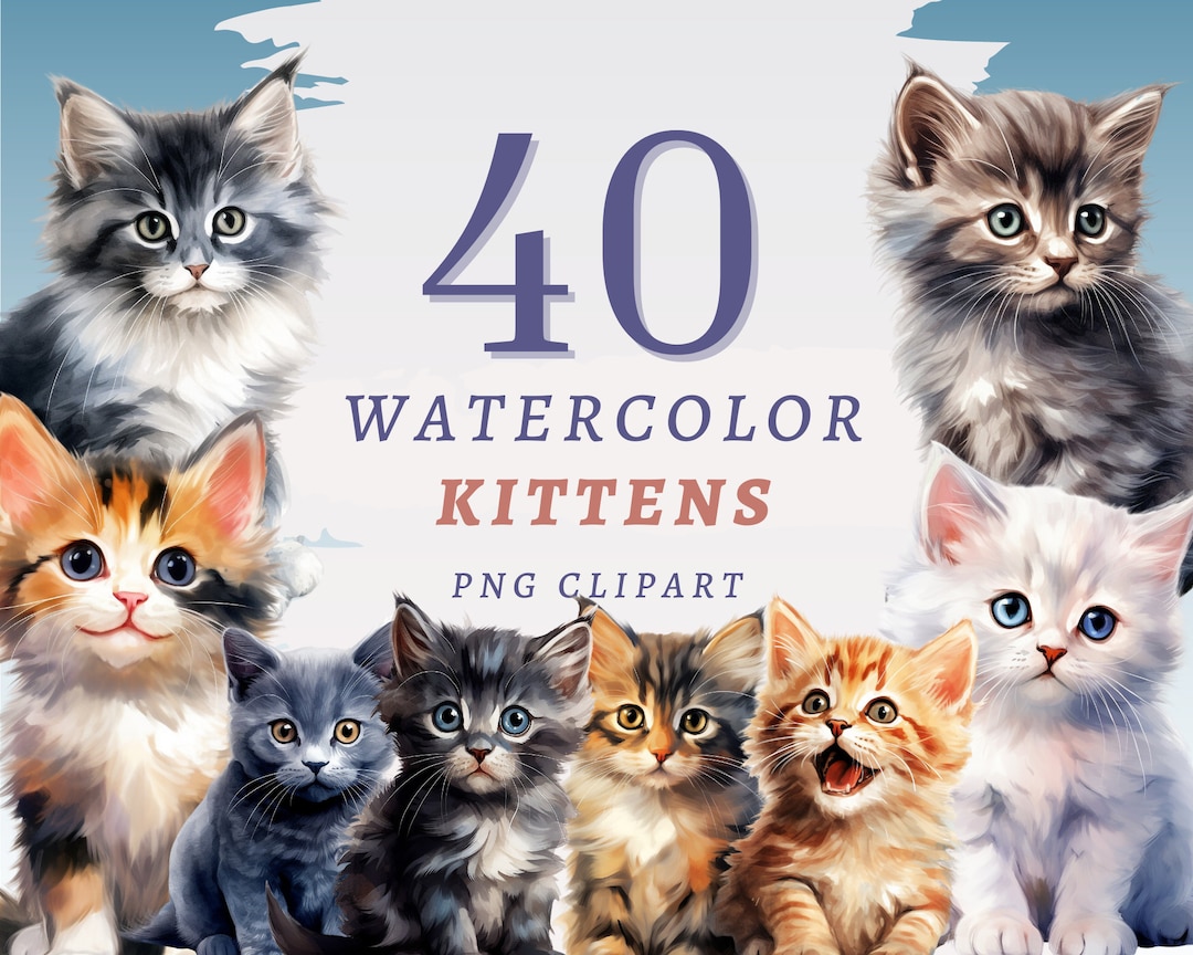 40 Watercolor Kittens Clipart, High Quality Transparent Pngs, Instant ...