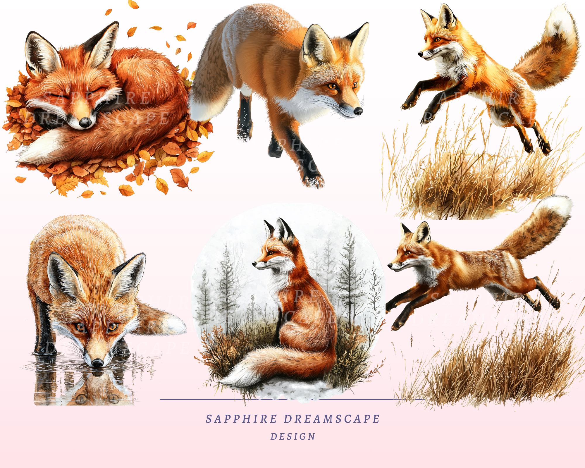 25 Red Fox Clipart, High Quality Transparent Pngs, Instant Download ...