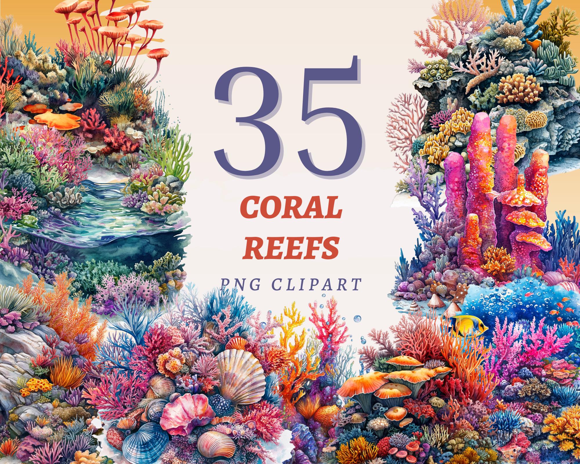 35 Coral Reefs Clipart Ocean Life Printable Watercolor Coral Sea Reef ...