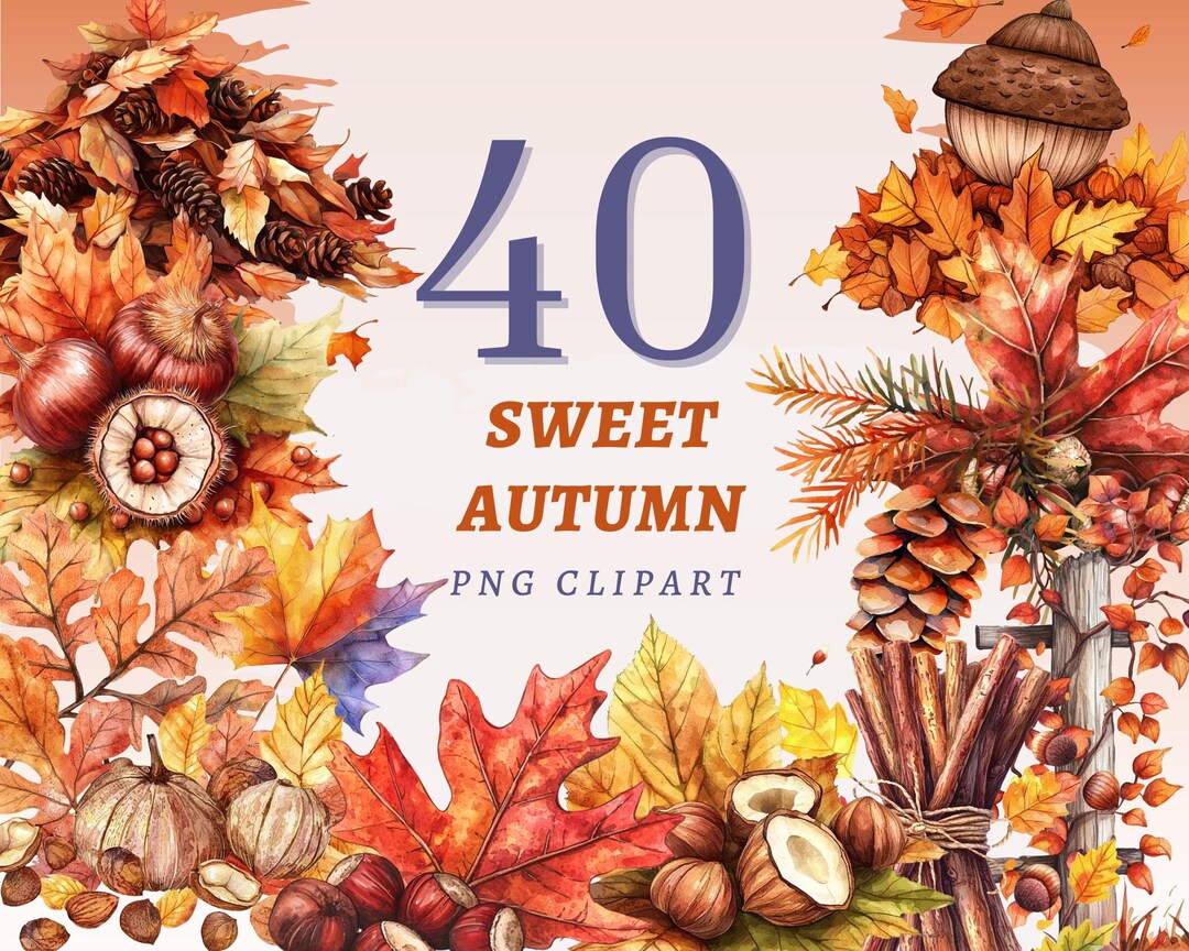40 Sweet Autumn Clipart, High Quality Transparent Pngs, Instant ...