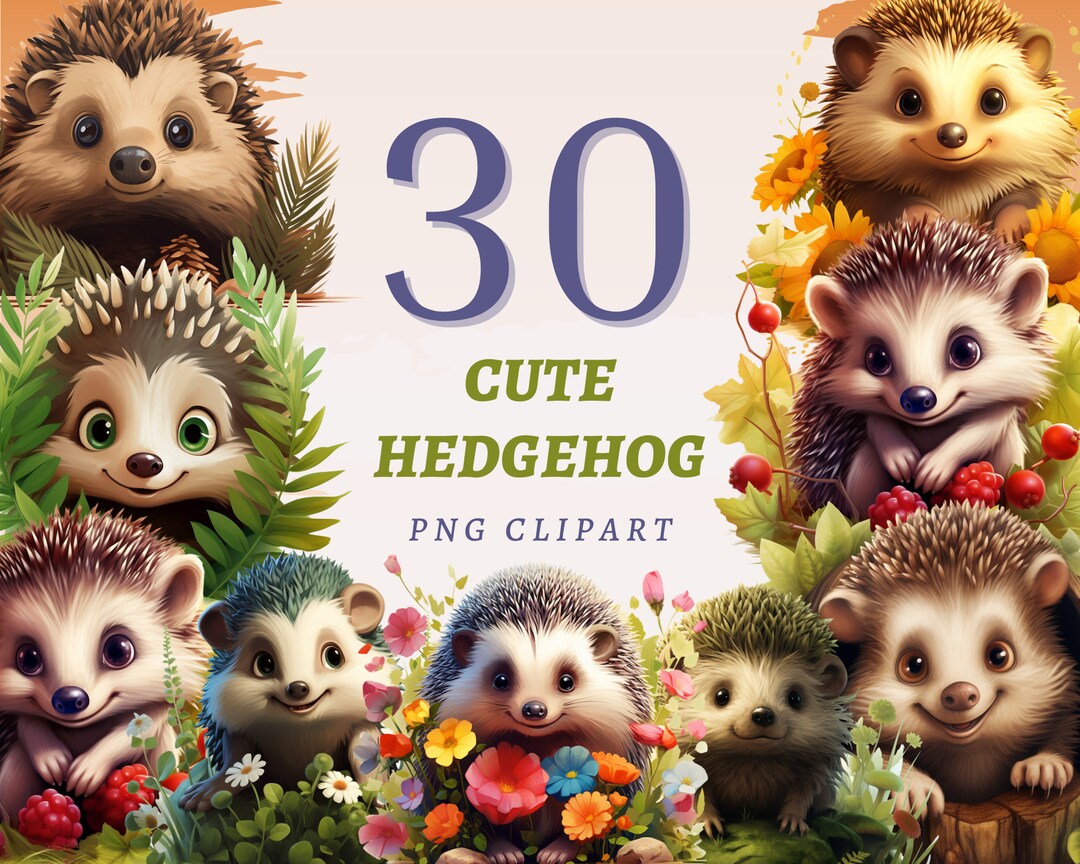 30 Cute Hedghog Clipart, High Quality Transparent Pngs, Instant ...
