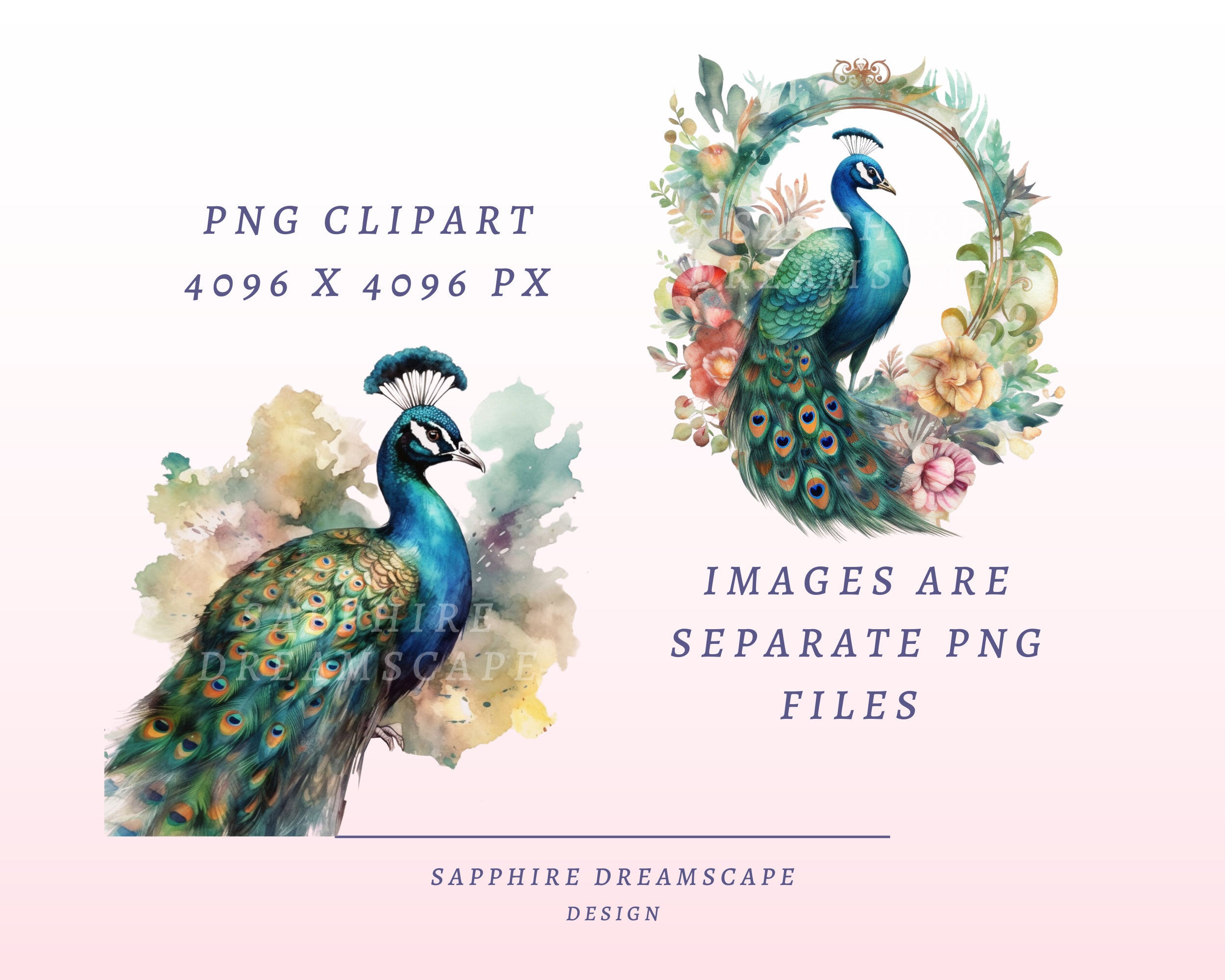 15 Watercolor Peacocks Clipart, High Quality Transparent Pngs, Instant ...