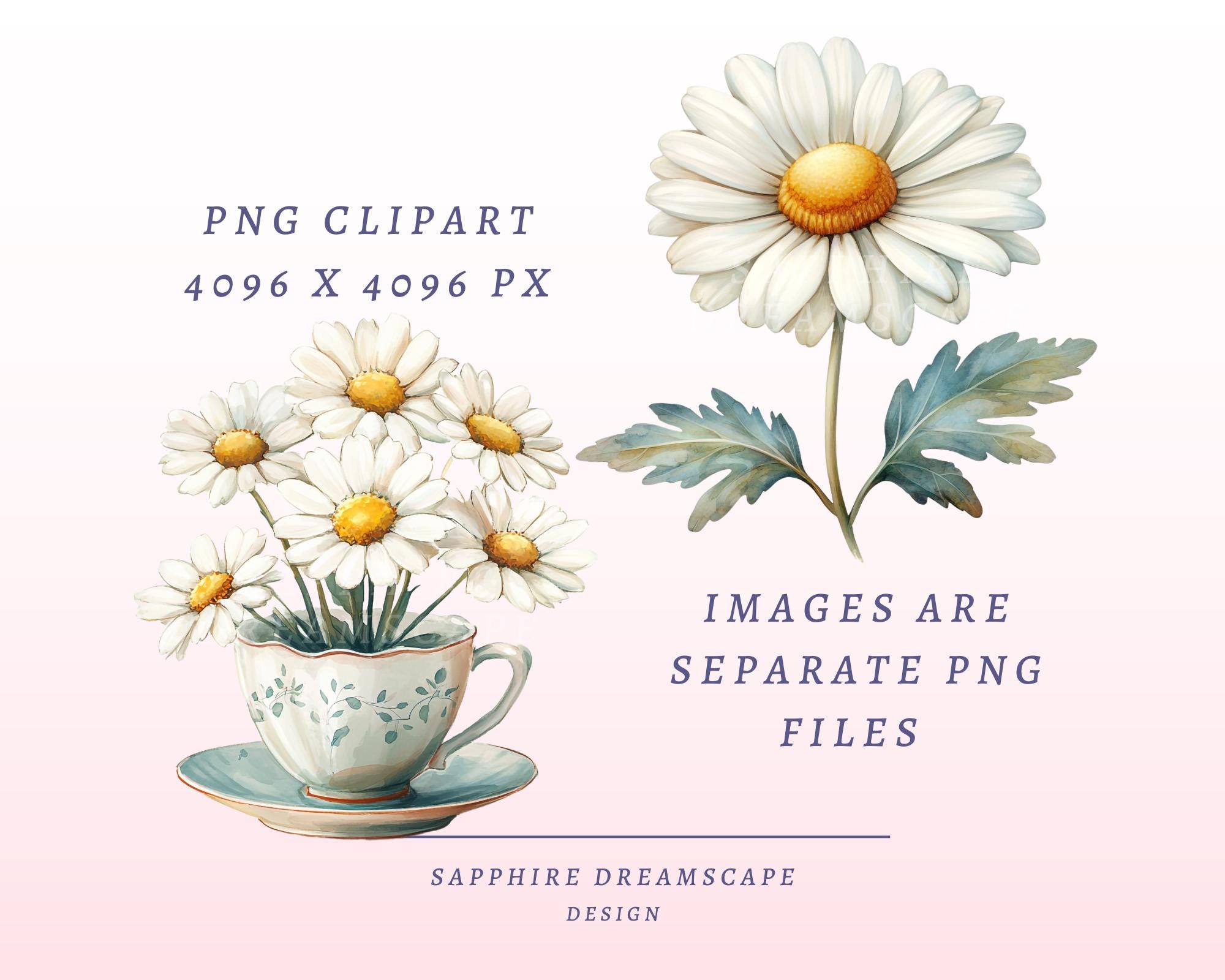 30 Watercolor Daisy Clipart Spring Floral Print Set of White Flowers ...