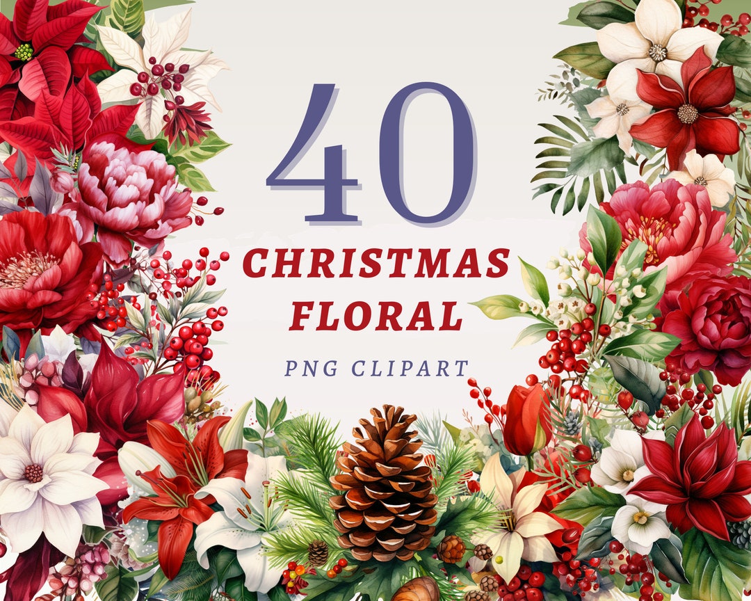 40 Christmas Floral Clipart, High Quality Transparent Pngs, Instant ...