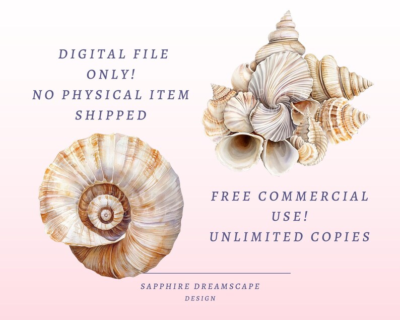 25 Boho Seashell Clipart Pack, Beige Mermaid Shells Png, Watercolor ...