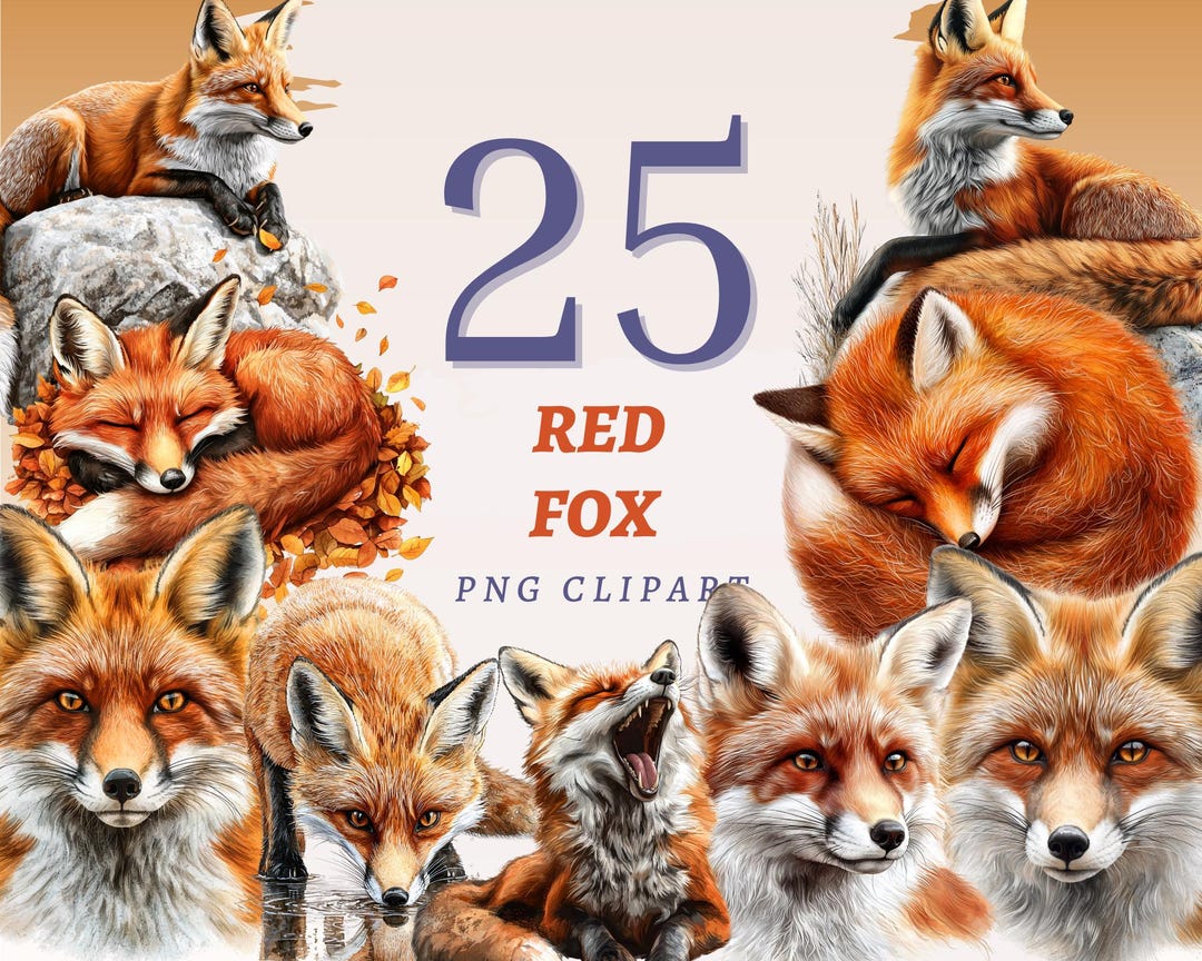 25 Red Fox Clipart, High Quality Transparent Pngs, Instant Download ...