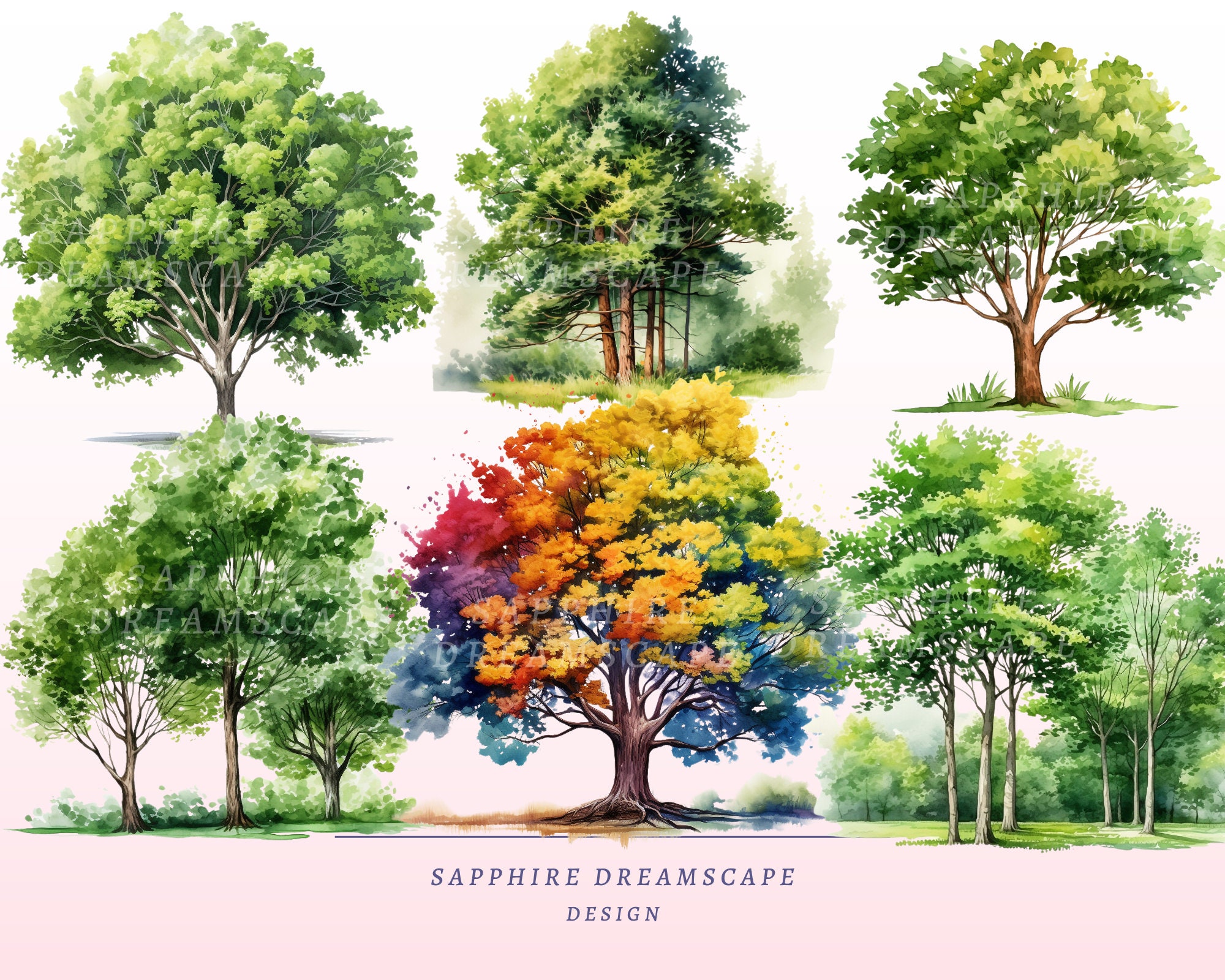 25 Summer Trees Clipart, High Quality Transparent Pngs, Instant ...