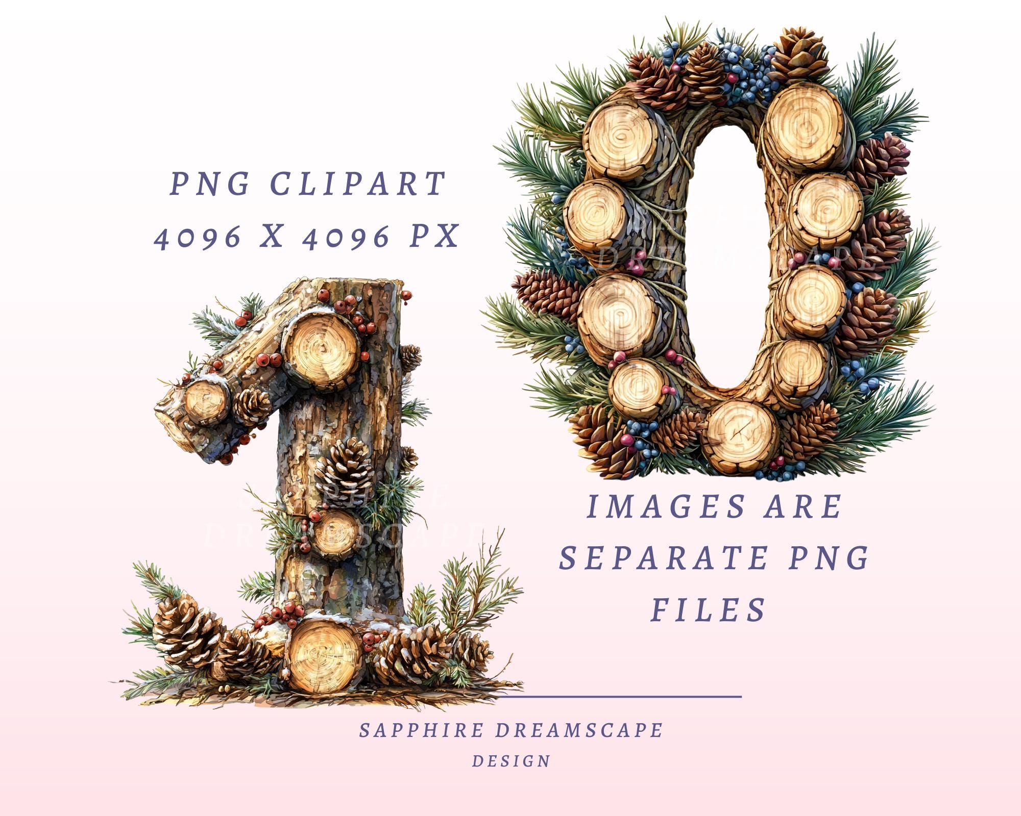30 Pine Cone Numbers Clipart, High Quality Transparent Pngs, Instant ...