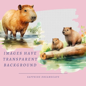20 Watercolor Capybaras Clipart, High Quality Transparent Pngs, Instant ...
