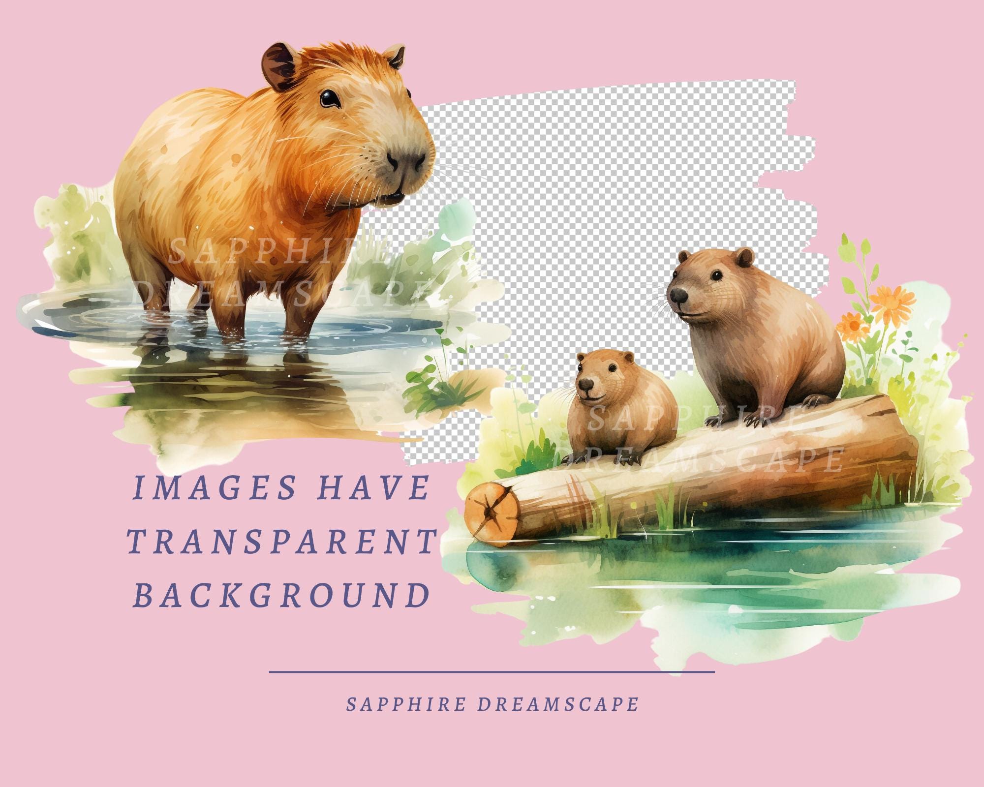 20 Watercolor Capybaras Clipart, High Quality Transparent Pngs, Instant ...