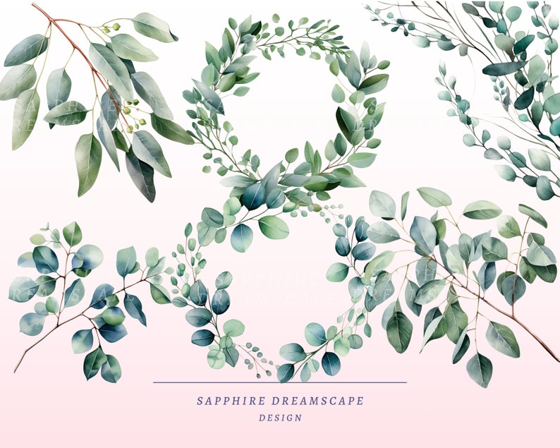 40 Watercolor Eucalyptus Clipart, High Quality Transparent Pngs ...