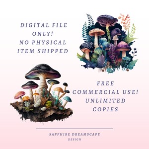 70 Mushrooms Clipart Megapack, High Quality Transparent Pngs With ...