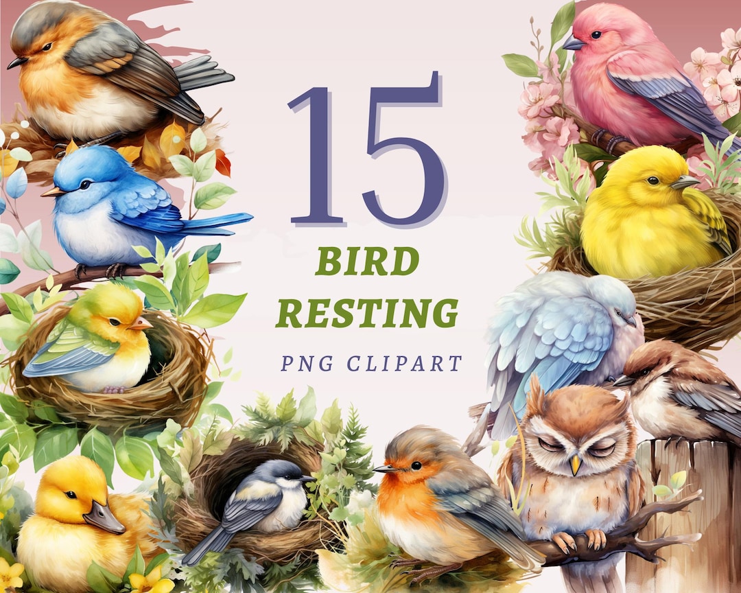 15 Bird Resting Clipart, High Quality Transparent Pngs, Instant ...