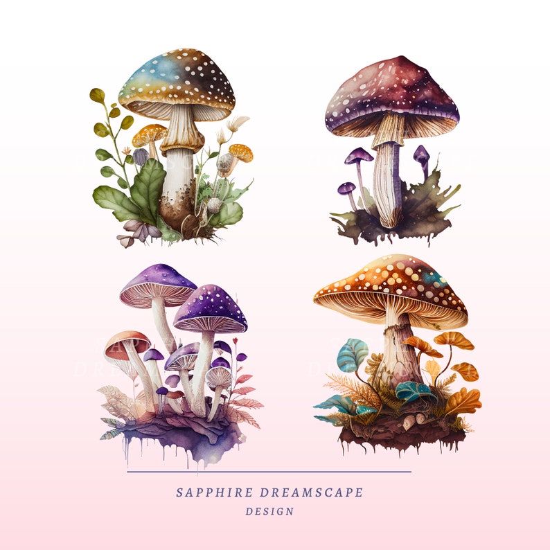 15 Watercolor Mushrooms Clipart, High Quality Transparent Pngs With ...