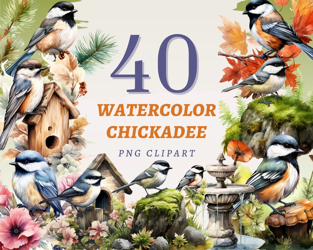 40 Watercolor Chickadee Clipart, High Quality Transparent Pngs, Instant ...