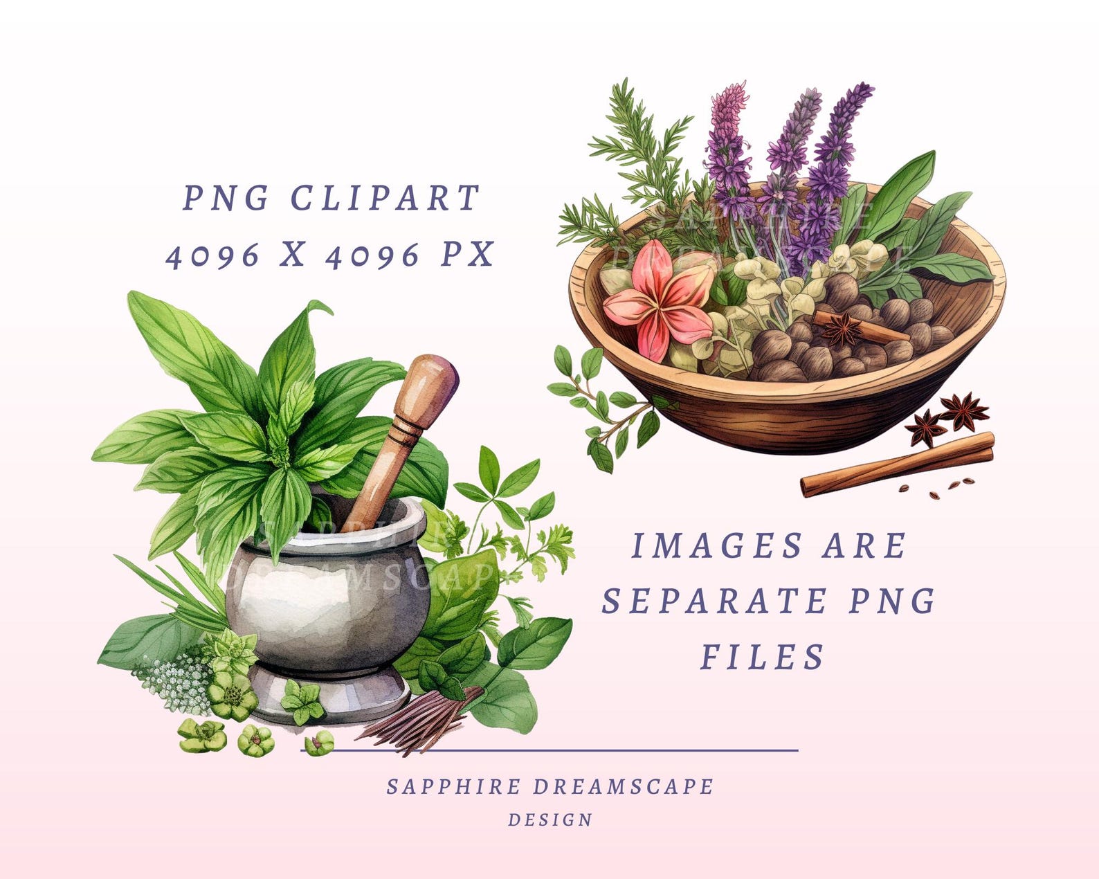 40 Medicinal Herbs Clipart, High Quality Transparent Pngs, Instant ...