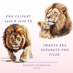 30 Watercolor Lion Clipart Animal Kingdom Illustration Lion's Face ...