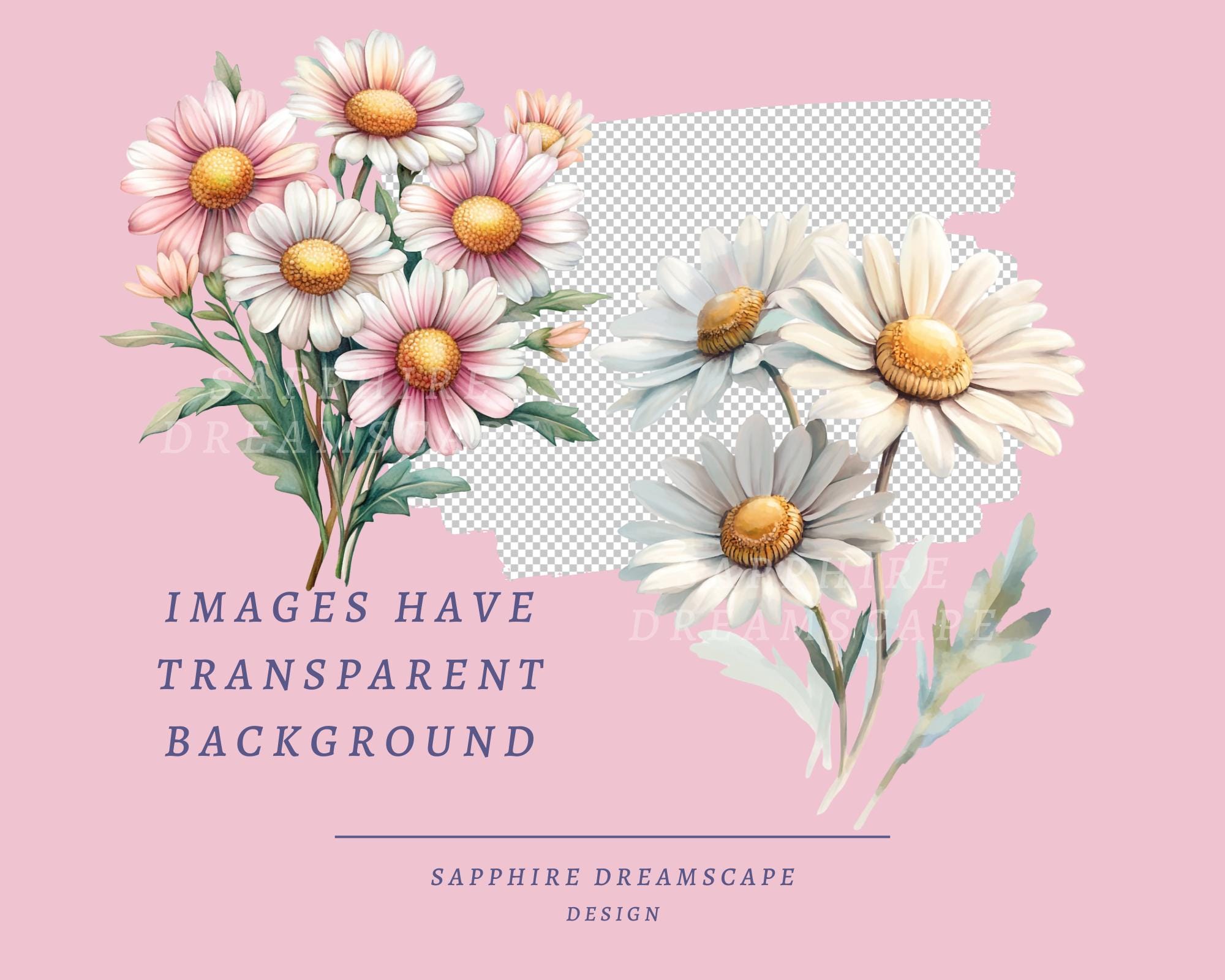 30 Watercolor Daisy Clipart Spring Floral Print Set of White Flowers ...