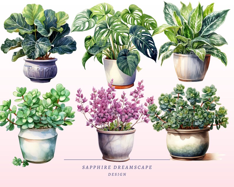 30 House Plants Clipart, High Quality Transparent Pngs, Instant ...