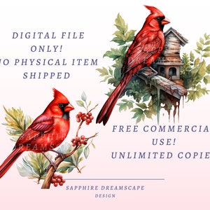 35 Red Cardinal Clipart, High Quality Transparent Pngs, Instant ...