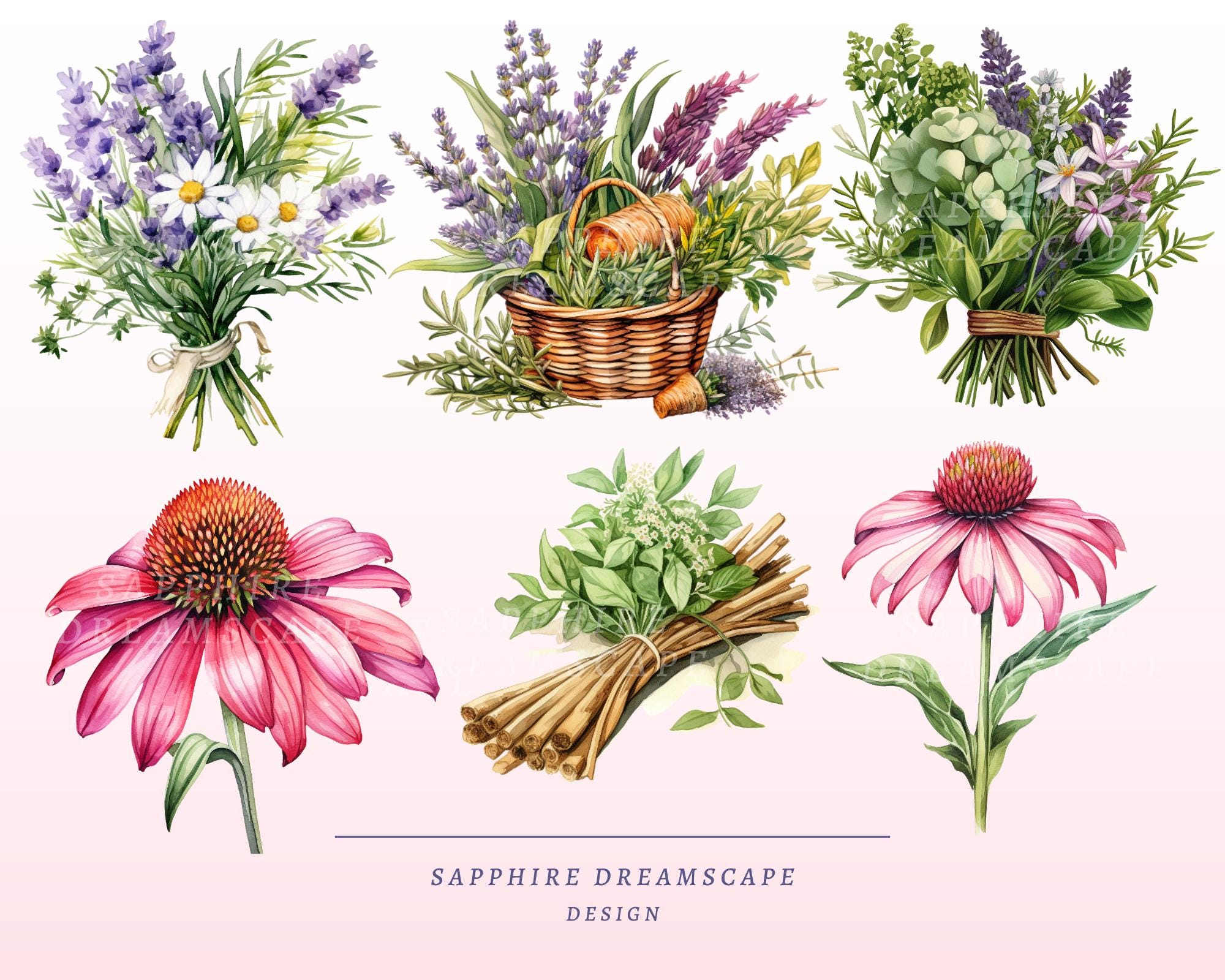 40 Medicinal Herbs Clipart, High Quality Transparent Pngs, Instant ...