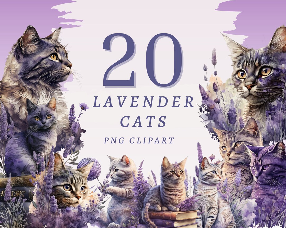 20 Lavender Cats Clipart, High Quality Transparent Pngs With Instant ...