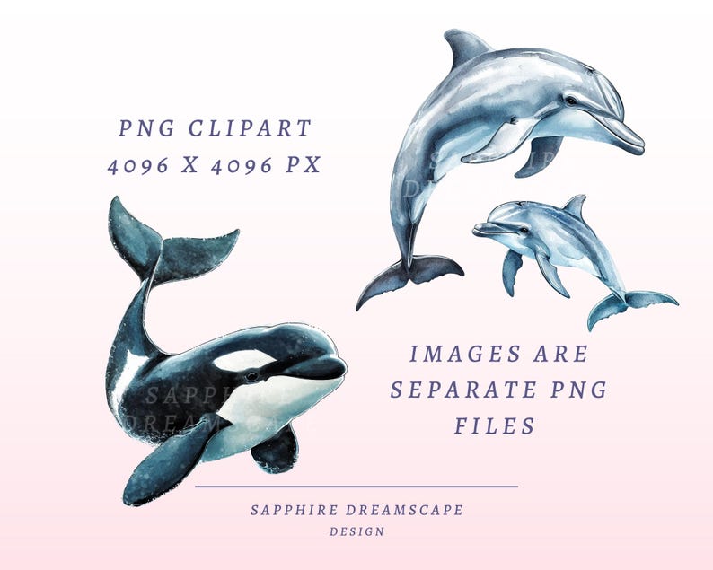 25 Whales and Dolphins Clipart, High Quality Transparent Pngs, Instant ...