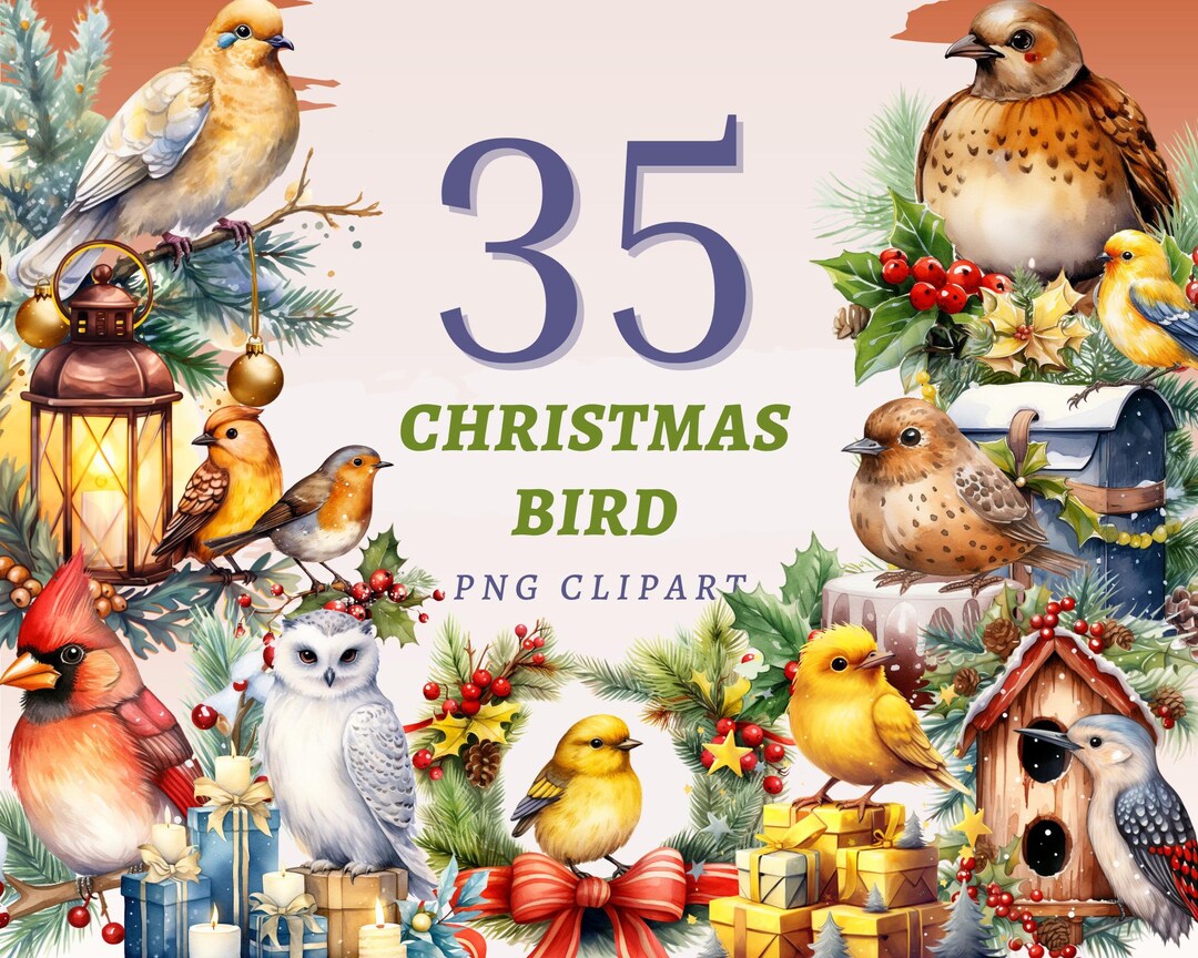35 Christmas Bird Clipart, High Quality Transparent Pngs, Instant ...