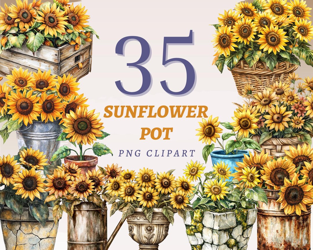 35 Sunflower Pot Clipart, High Quality Transparent Pngs, Instant ...