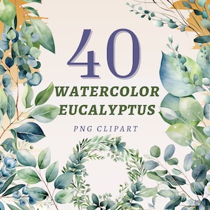 40 Watercolor Eucalyptus Clipart, High Quality Transparent Pngs ...