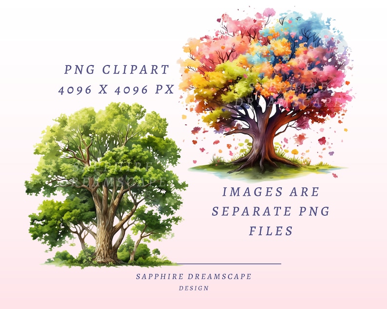 25 Summer Trees Clipart, High Quality Transparent Pngs, Instant ...