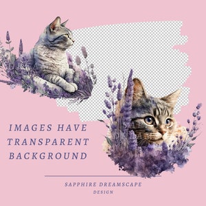 20 Lavender Cats Clipart, High Quality Transparent Pngs With Instant ...