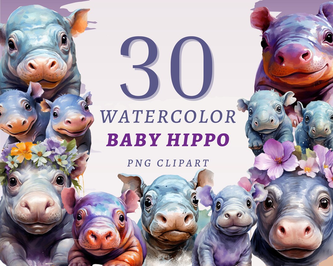 30 Watercolor Baby Hippo Clipart, High Quality Transparent Pngs ...